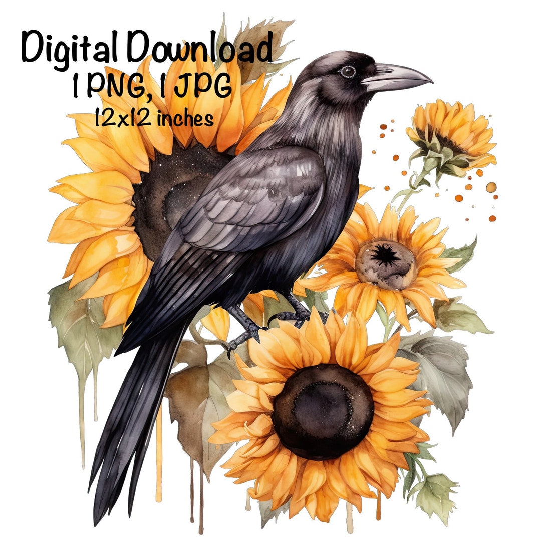 Cute Crow Sunflowers Watercolor Clipart Crow Spring Bird Flowers PNG ...