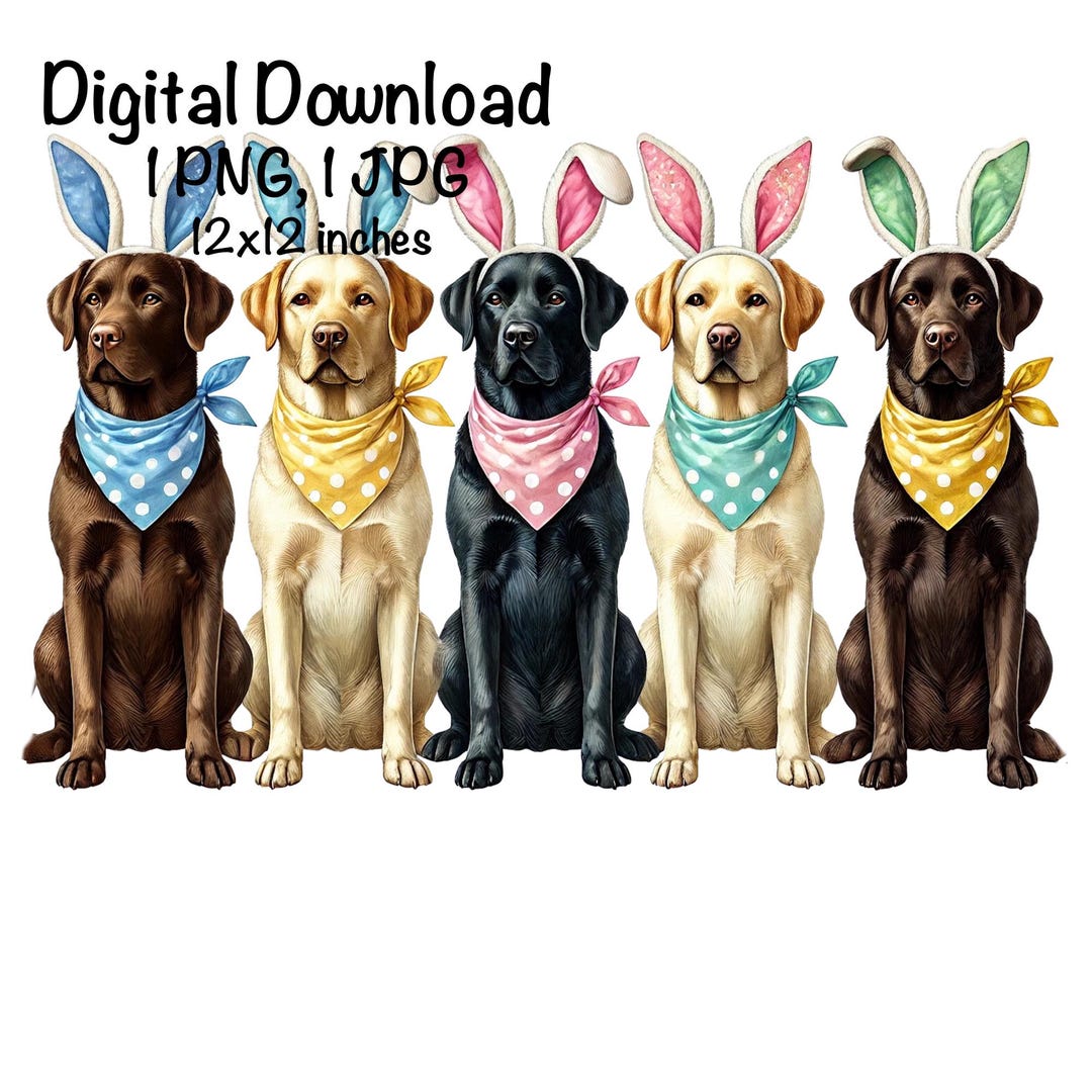Easter Labradors PNG, Easter Bunny Labrador Dog Sublimation Hunting PNG ...