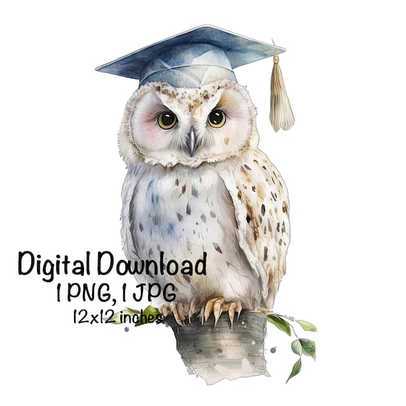 Cute Owl Clip Art Graduating