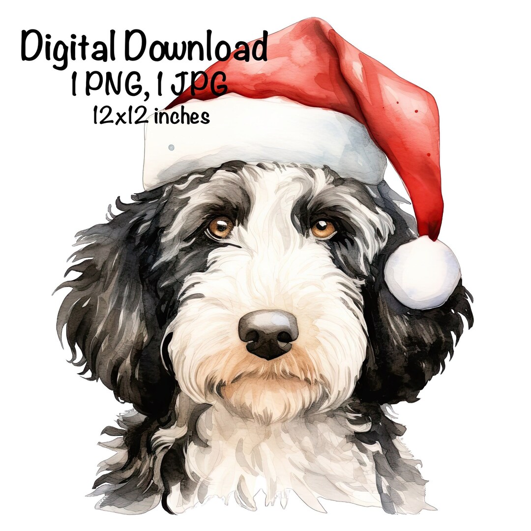 Christmas Sheepadoodle Clipart, Doodle Dog Christmas Holiday Santa Hat ...