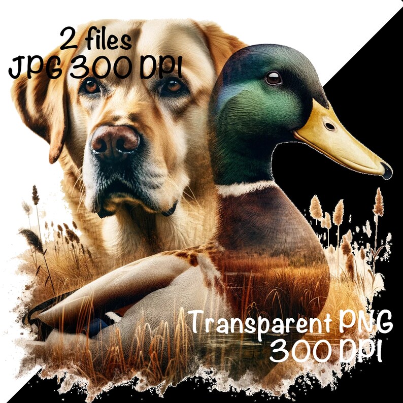 Labrador Dog Sublimation PNG Yellow Labrador Dog PNG Commercial Use ...