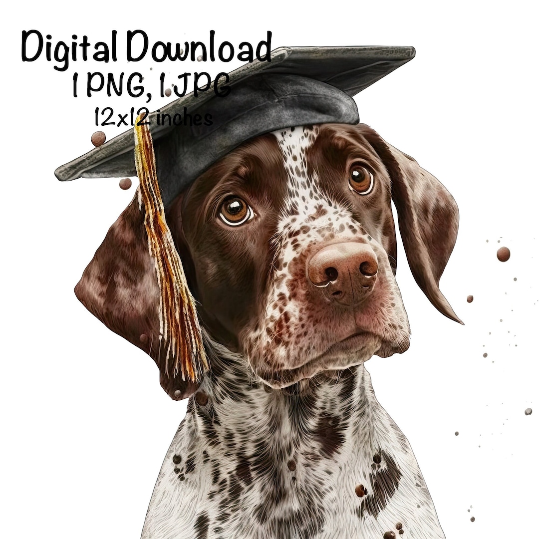 Pointer Dog Watercolor Clipart Graduation Cute Dog PNG Commercial Use ...