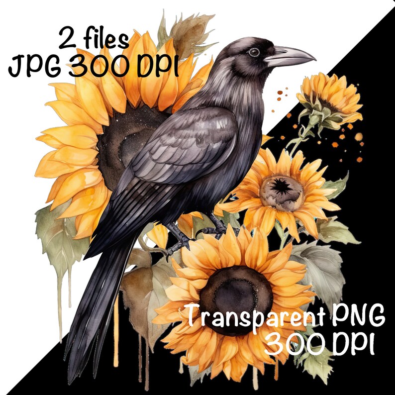 Cute Crow Sunflowers Watercolor Clipart Crow Spring Bird - Etsy