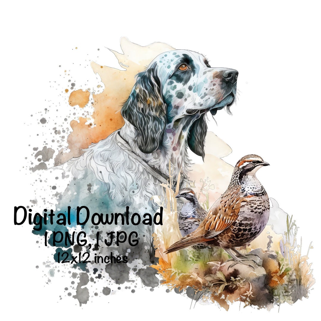Quail Hunting Dog Watercolor Clipart English Setter Dog PNG Commercial ...