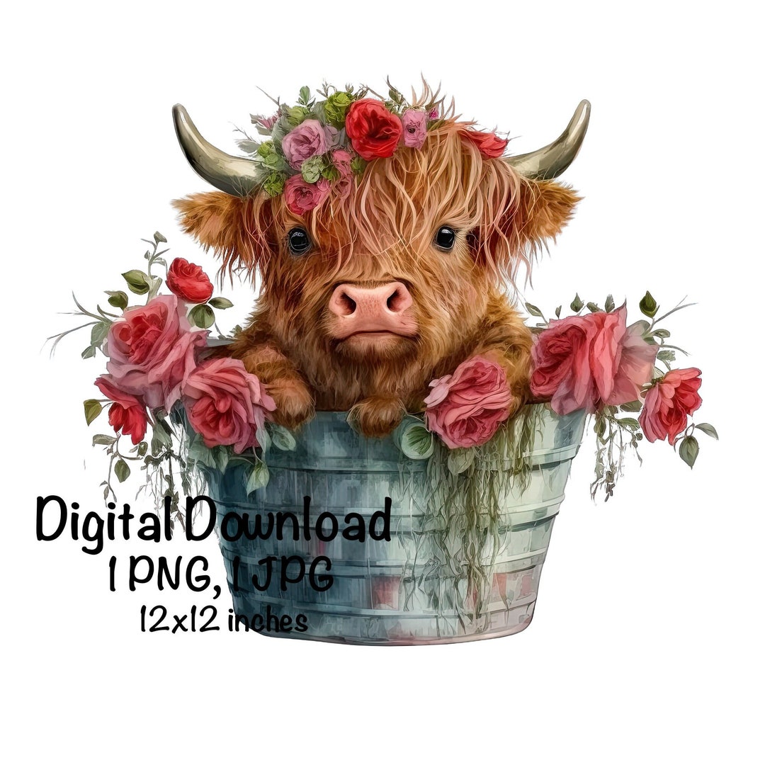Highland Cow Watercolor Clipart Cute Highland Cow in a Basket Baby Cow ...