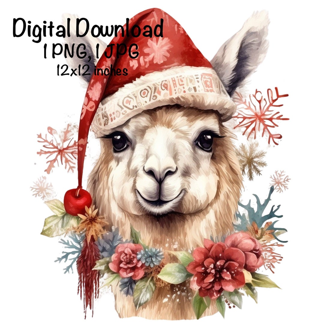 Christmas Llama Watercolor Clipart Winter Llama Christmas Flowers ...
