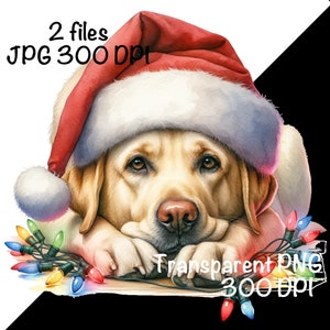 Christmas Labrador PNG Christmas Lights Santa Yellow Santa Labrador ...