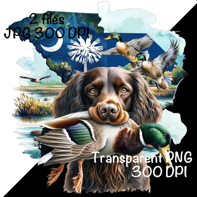 South Carolina Duck Hunting Dog PNG Boykin Spaniel Dog SC Map Hunting ...