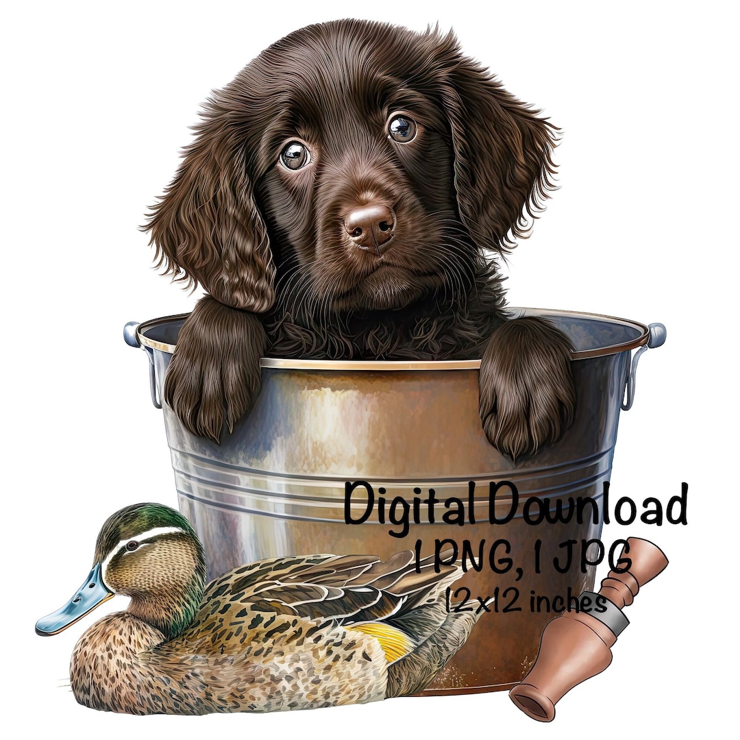 Boykin Spaniel Puppy Watercolor Clipart Cute Boykin Dog in a Bucket ...