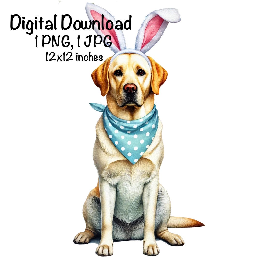 Easter Labrador PNG, Easter Bunny Labrador Dog Sublimation, Hunting PNG ...