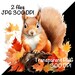 Cute Squirrel PNG, Autumn Fall PNG, Watercolor Squirrel Autumn PNG ...