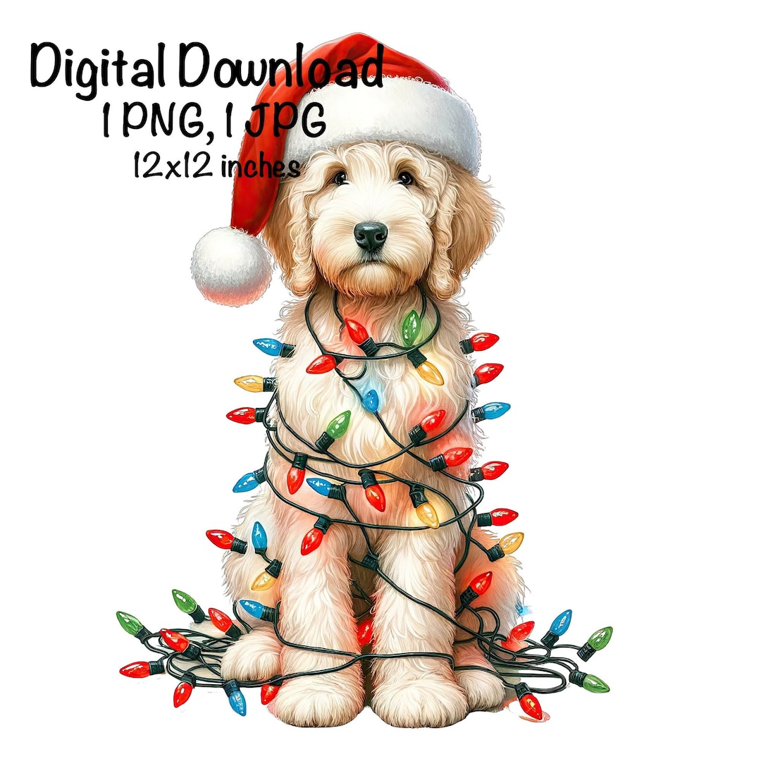 Christmas Goldendoodle Puppy PNG Christmas Lights Santa Black Doodle ...