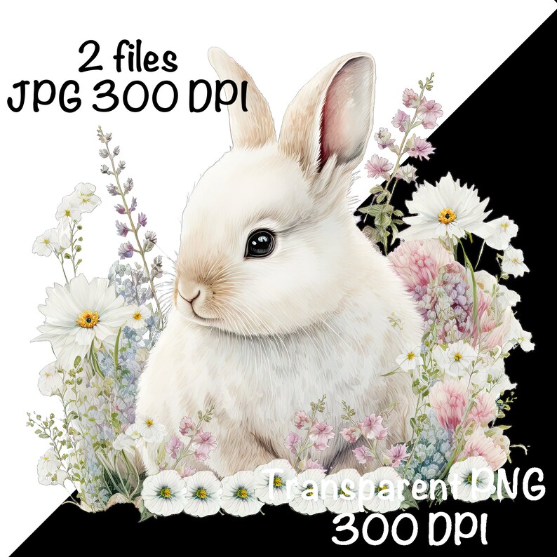 Cute Bunny Watercolor Clipart White Bunny Spring Daisy Flowers - Etsy