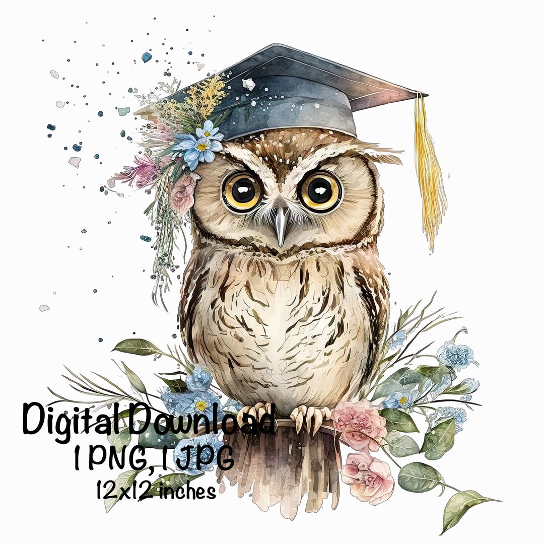 Graduation Owl Clipart Grad Student Owl PNG College Graduation ...