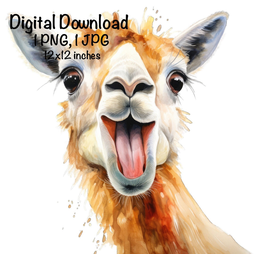 Llama PNG Clipart Cute Highland Llama Funny Mountain Llama PNG ...
