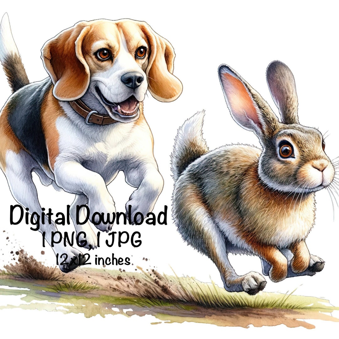 Beagle Hunting Dog PNG, Beagle Rabbit Hunting Dog Clipart, Beagle ...