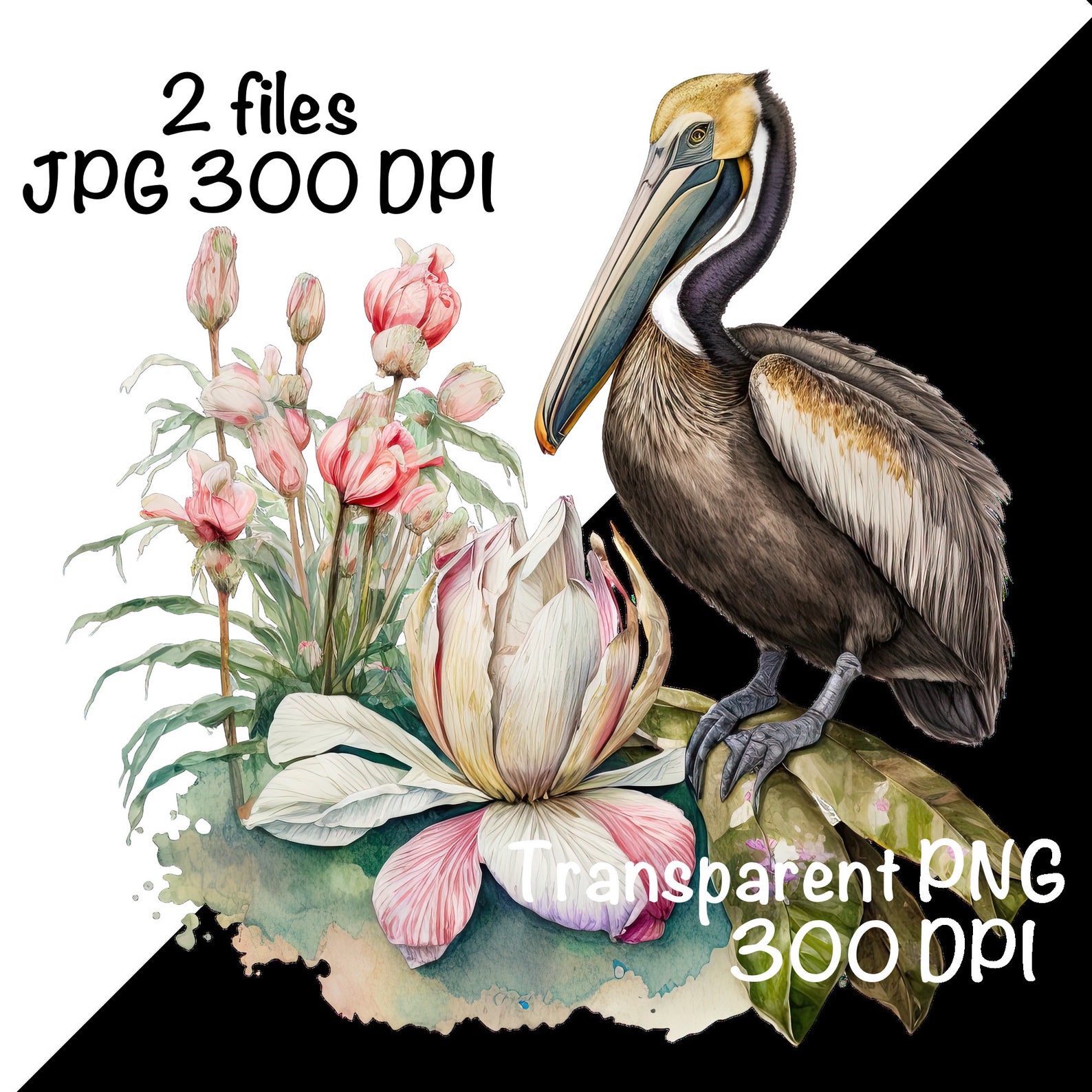 Pelican Watercolor Clipart Louisiana Brown Pelican Magnolia Flowers PNG ...