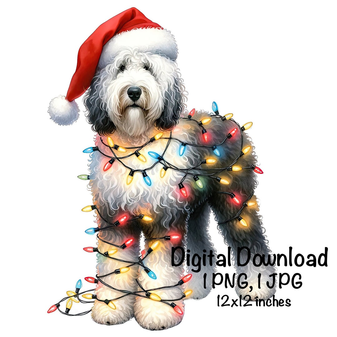 Christmas Sheepadoodle Puppy PNG Christmas Lights Santa Doodle Dog ...