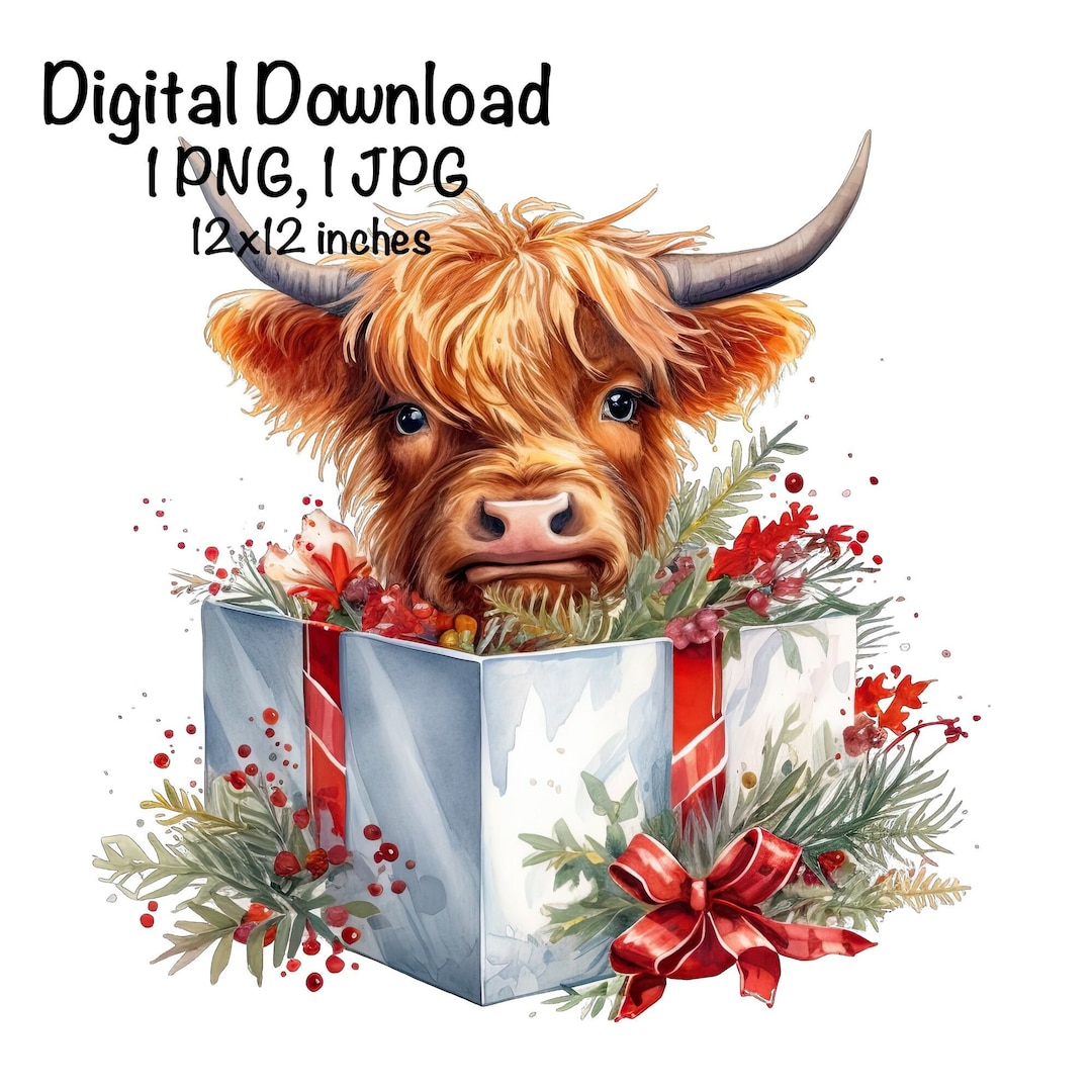 Highland Cow Watercolor Clipart Highland Cow Christmas Flowers Holiday ...