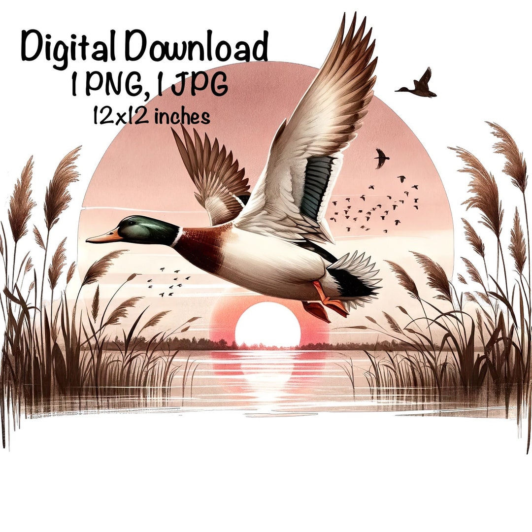 Mallard Duck PNG Wild Duck Sublimation PNG Mallard Duck Sunset Wetland ...