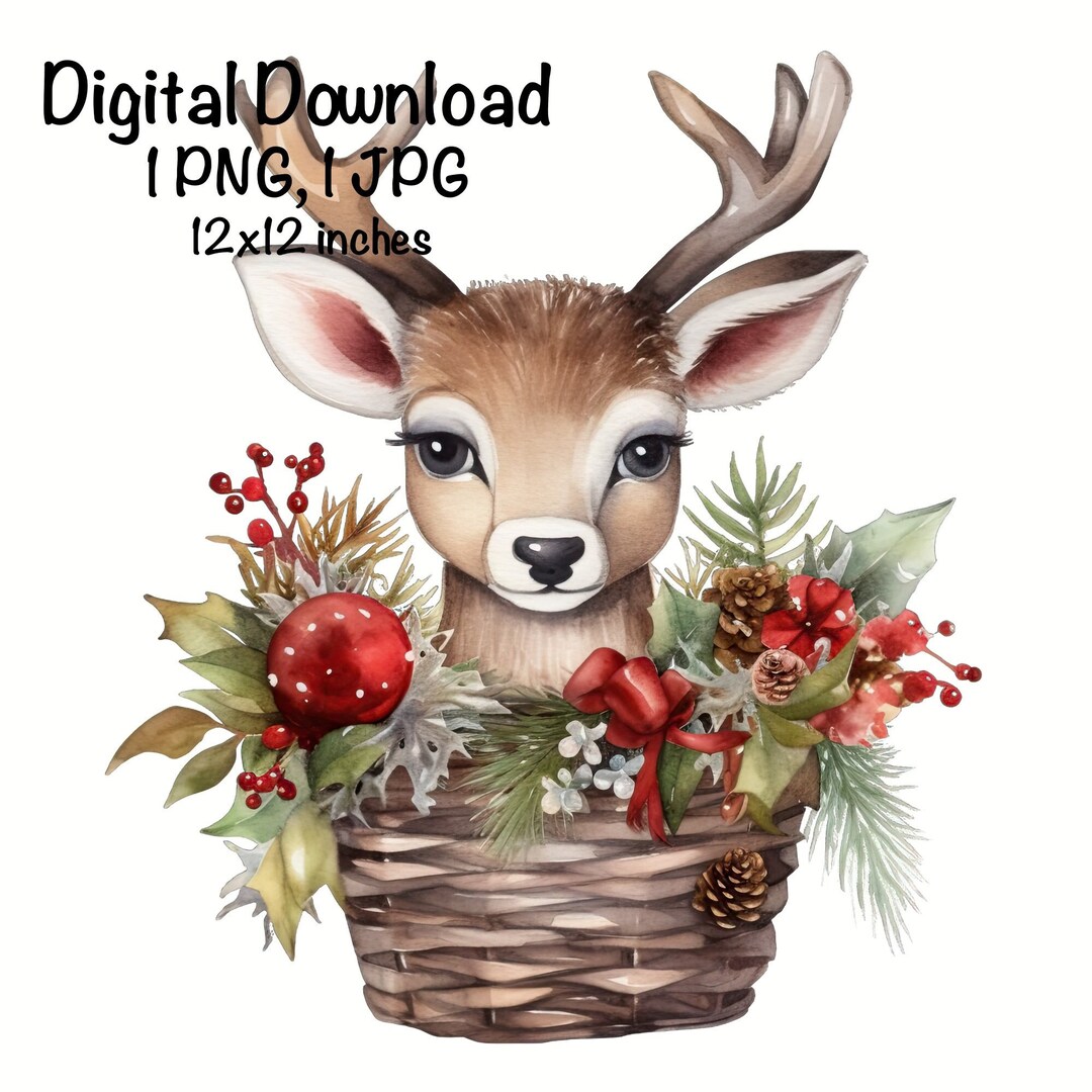Cute Christmas Reindeer PNG Commercial Use Reindeer Graphic Elk PNG ...