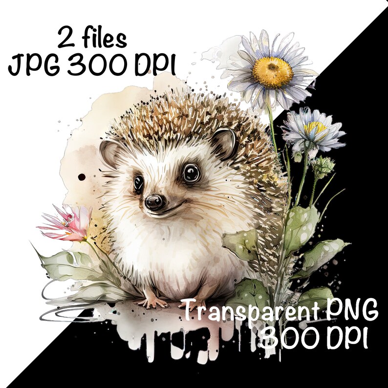 Hedgehog Cute Hedgehog Clipart Forest Animals Hedgehog PNG - Etsy