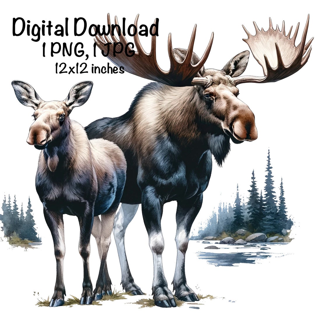 Moose Sublimation Hunting PNG Wildlife Moose PNG Commercial Use Hunter ...