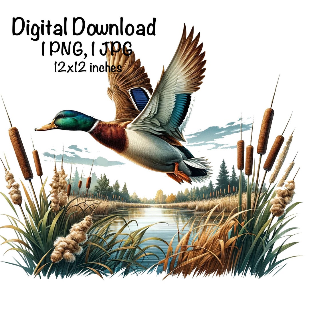 Mallard Duck PNG Wild Duck Sublimation PNG Mallard Duck Sublimation ...
