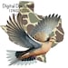 Camo Dove Hunting Sublimation | Dove Hunting PNG DTF | Texas State Dove ...