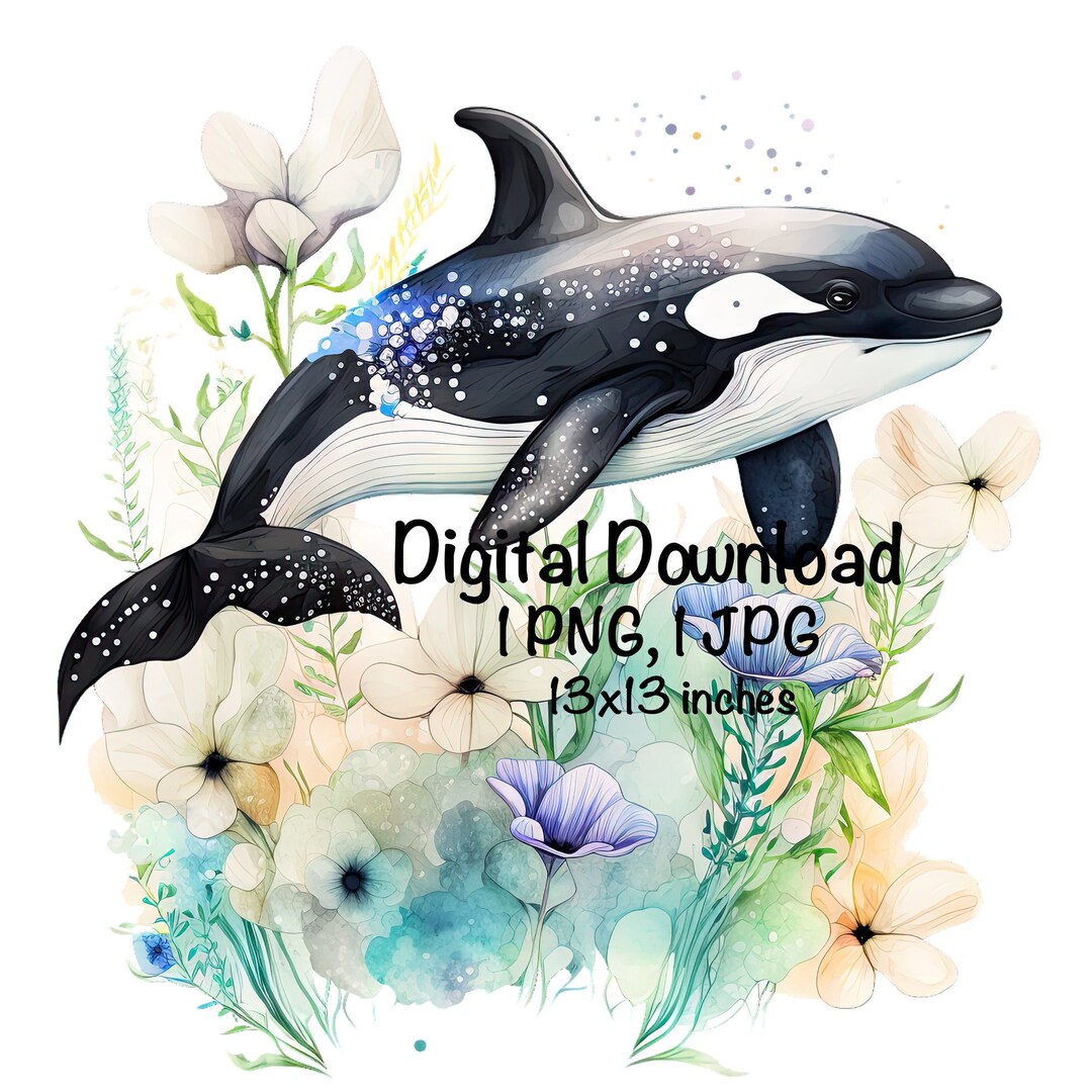 Orca Whale Watercolor Clipart Cute Whale Spring Flowers Commercial Use ...