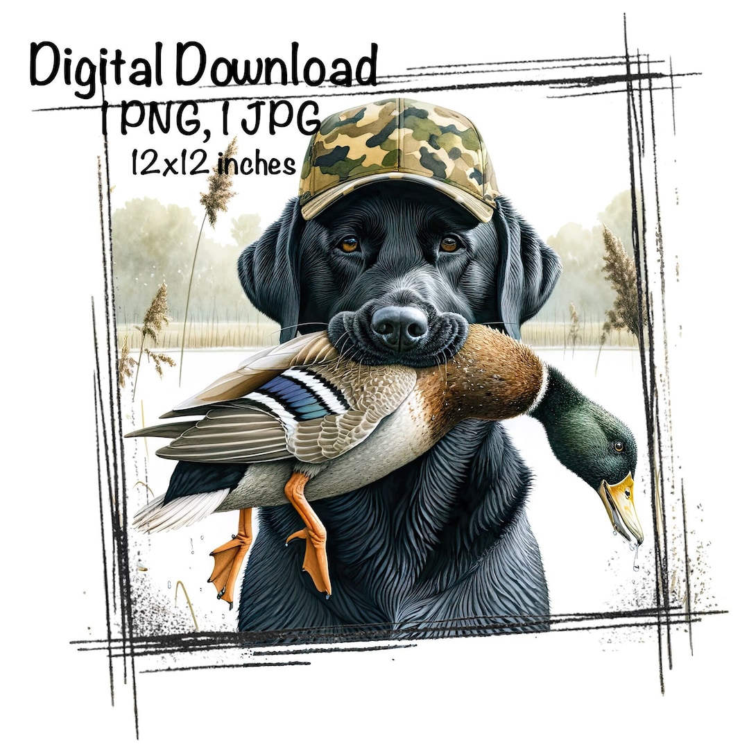 Labrador Dog PNG Duck Hunting Black Labrador Dog PNG Commercial Use ...