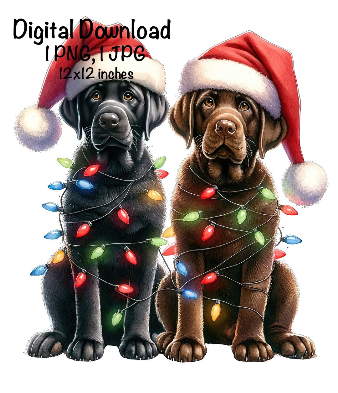 Christmas Labradors PNG Christmas Lights Santa Labrador Dogs ...