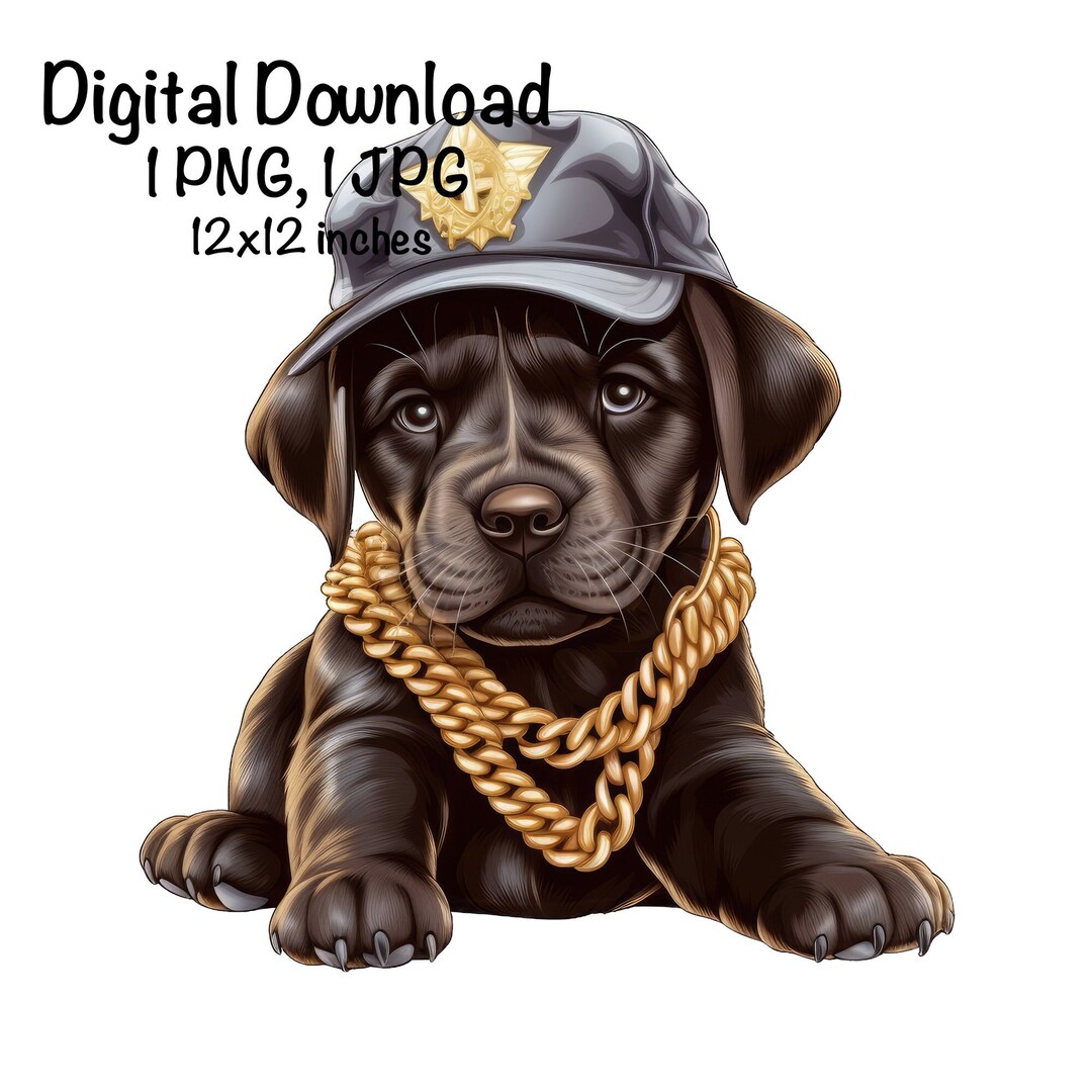 Funny Labrador Dog PNG Lab Dog Gold Chains Clipart Dog Baseball Hat ...