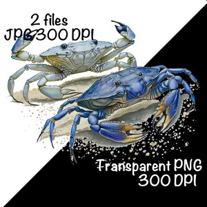 Blue Crabs Watercolor Crabbing Fishing Clipart Two Blue Crab PNG ...