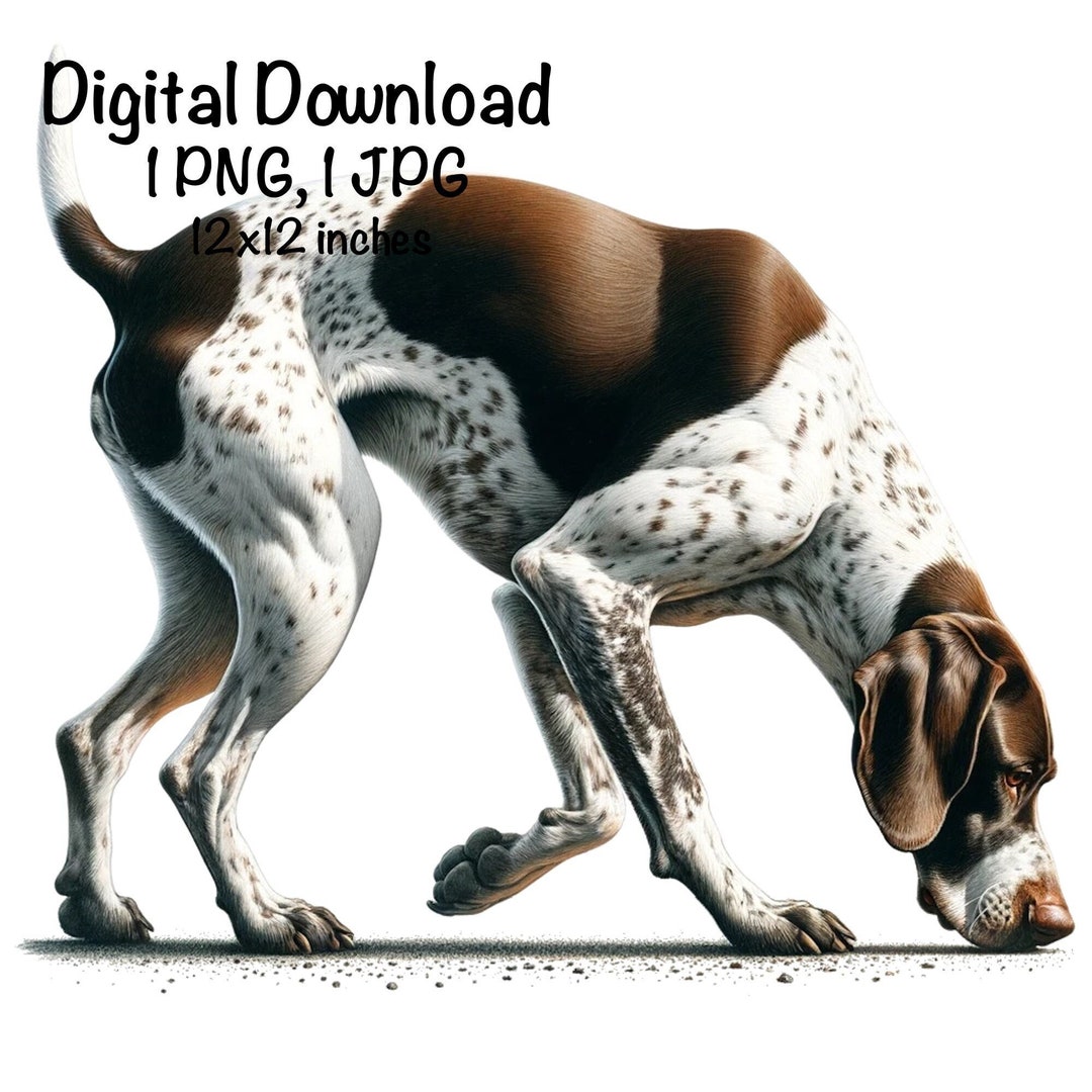 Pointer Hunting Dog PNG | Sniffing Dog Sublimation PNG | Digital ...
