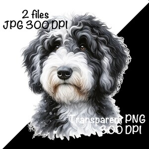 Sheepadoodle Sublimation PNG, Doodle Dog Portrait, Sheepa Doodle PNG ...