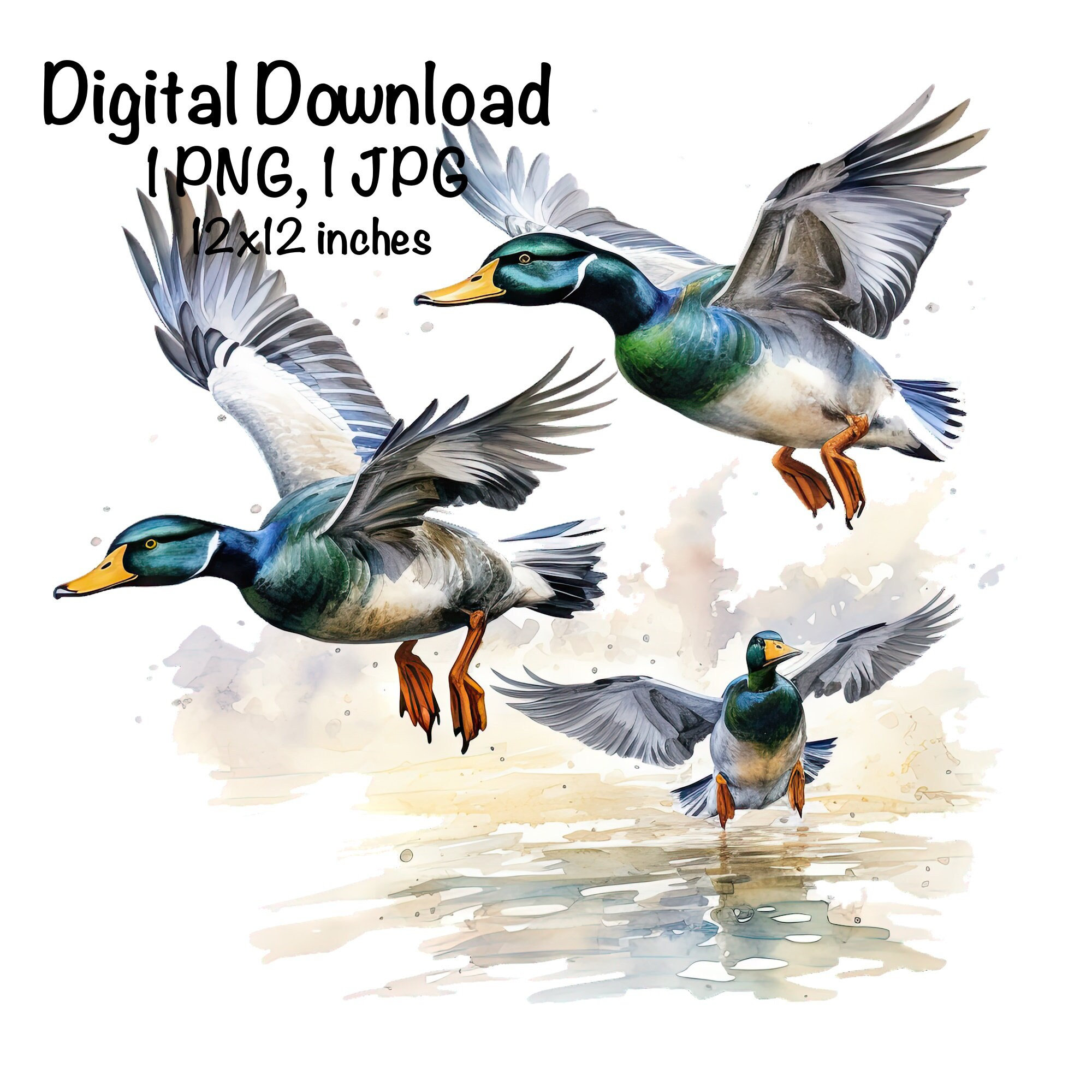 Free Clipart Nervous Duck