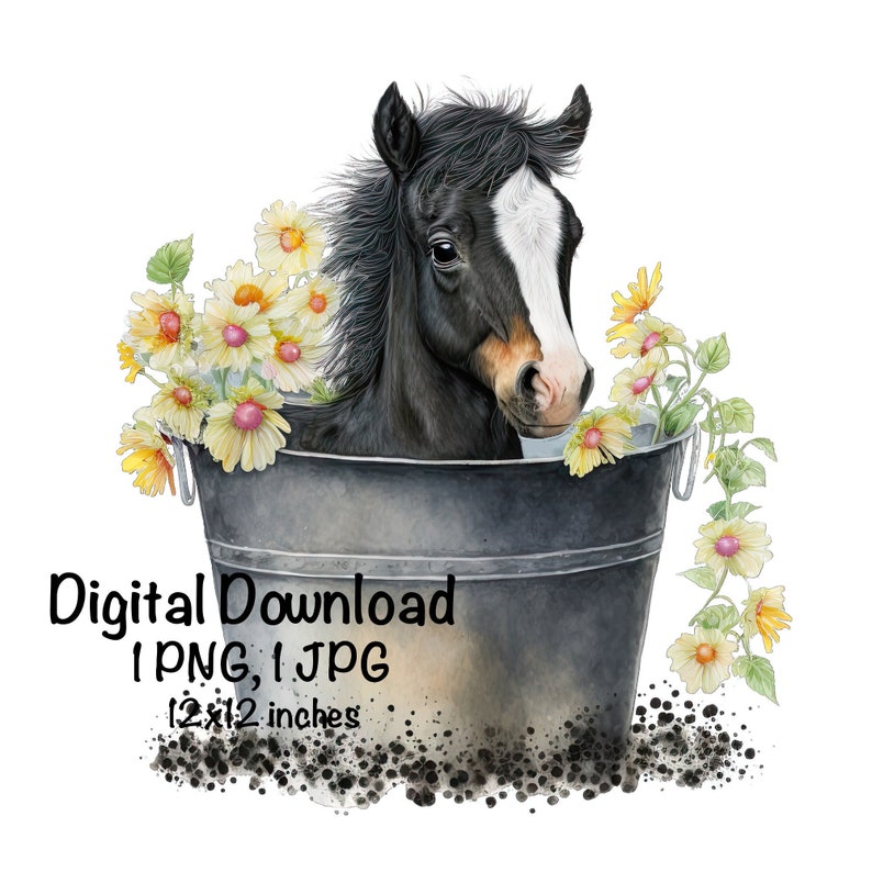 Black Horse Watercolor Clipart Cute Horse in a Bucket Baby - Etsy