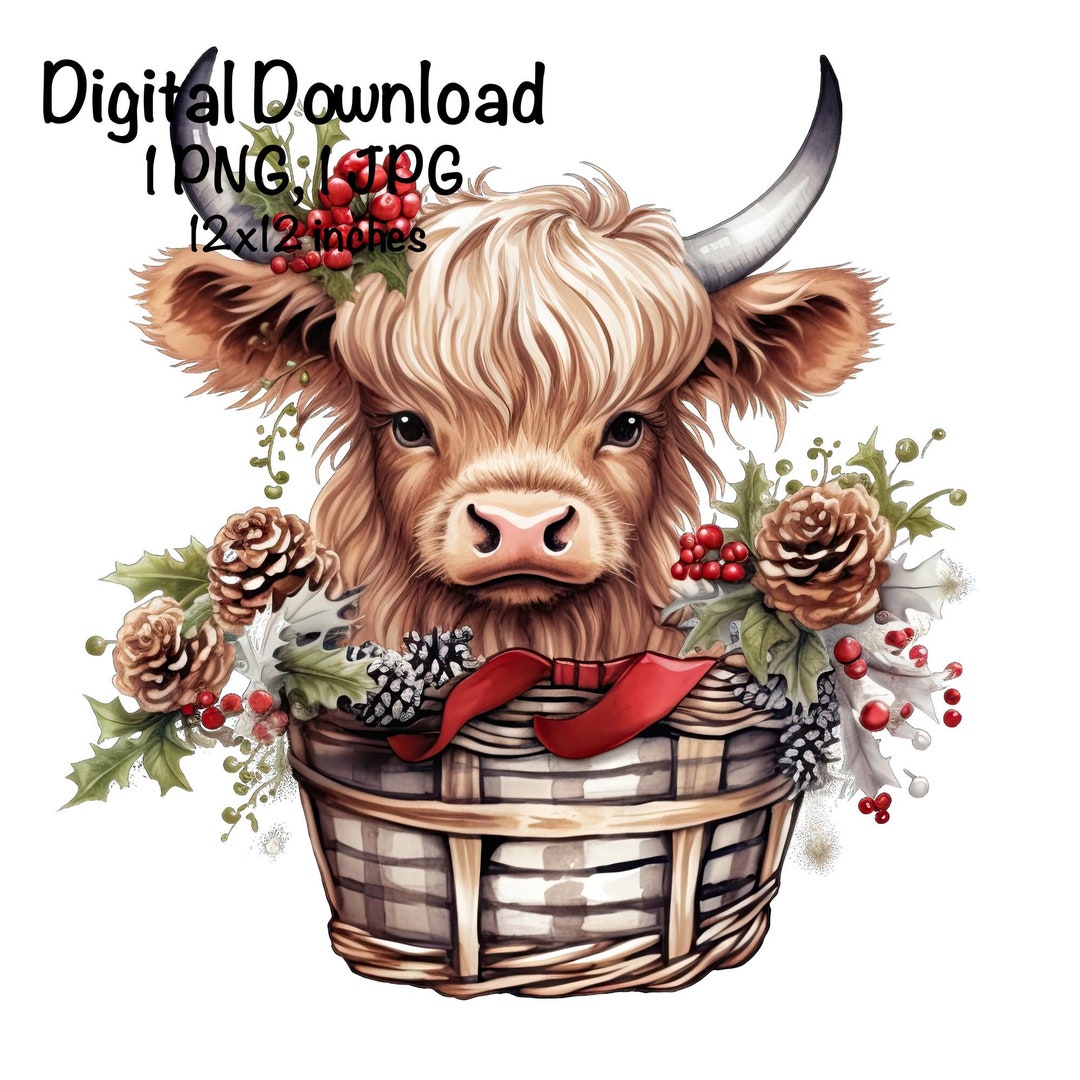 Highland Cow Watercolor Clipart Highland Cow Christmas Flowers Holiday ...