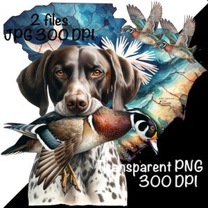 South Carolina Duck Hunting Dog PNG, Pointer Dog SC Map Hunting ...