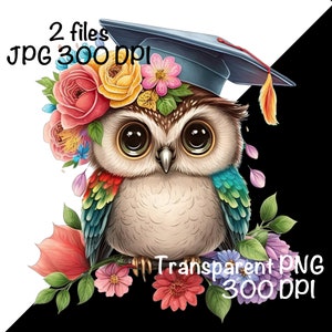Graduation Owl Clipart Grad Student Owl PNG College Graduation ...