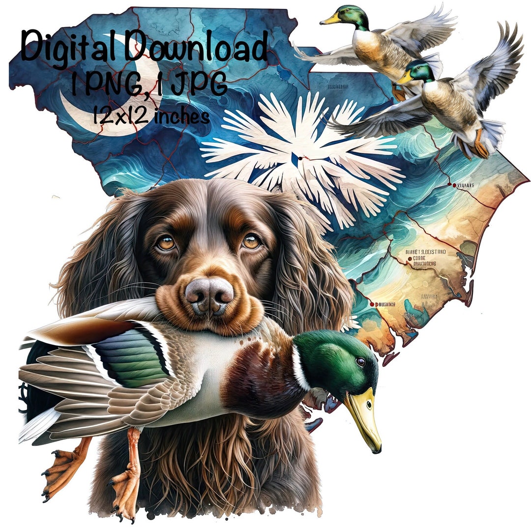 South Carolina Duck Hunting Dog PNG Boykin Spaniel Dog SC Map Hunting ...