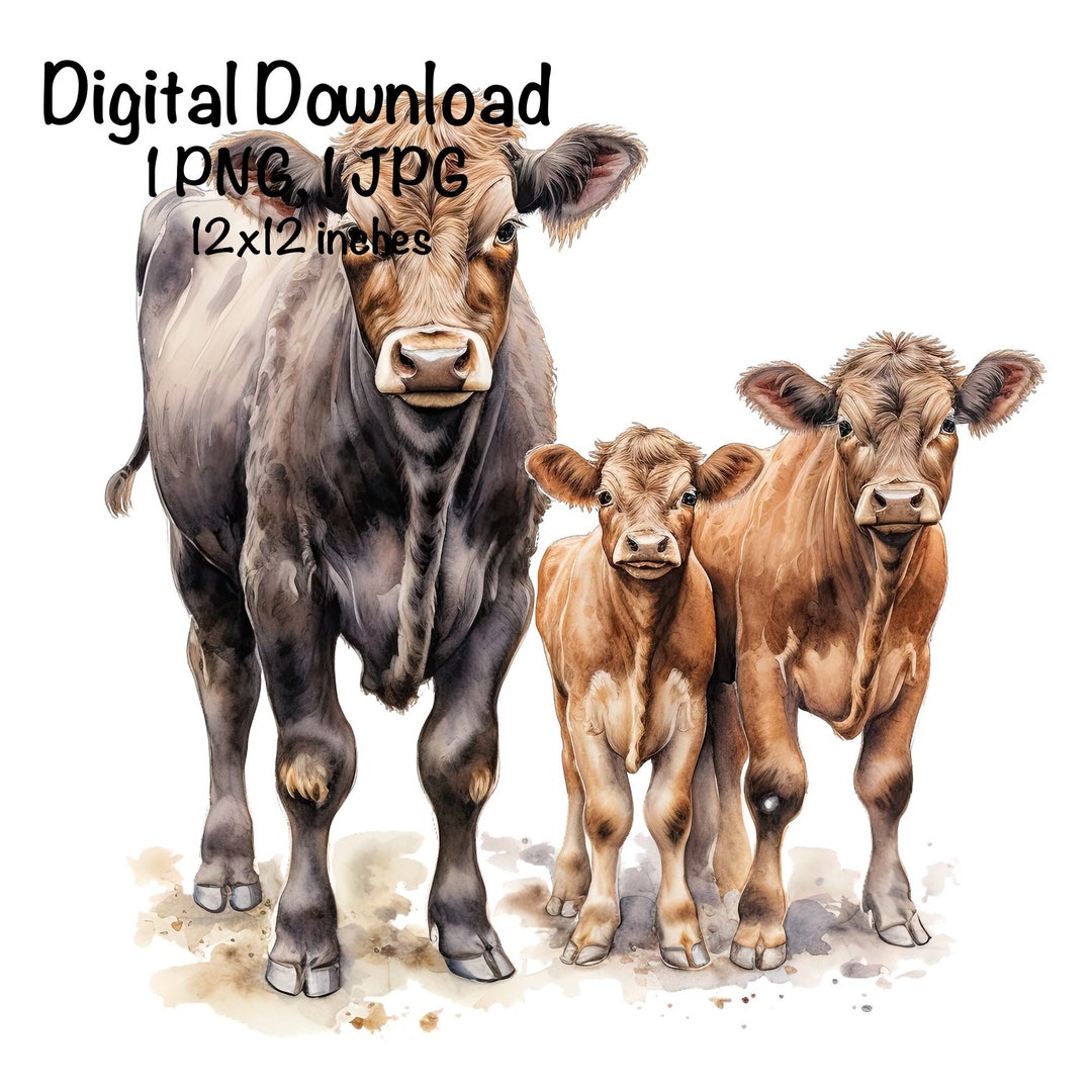 Angus Cows Watercolor Clipart Beef Cows Mama Angus Cow PNG Commercial ...