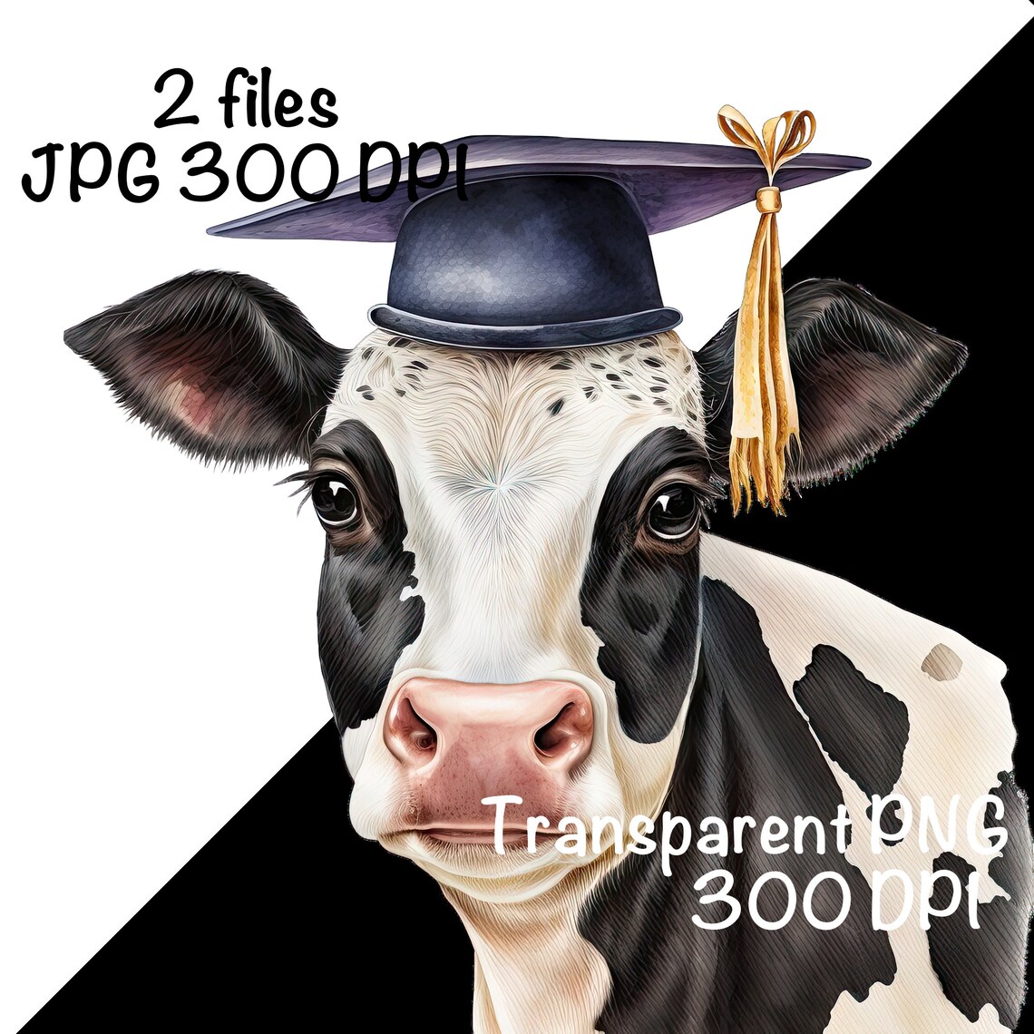 Dairy Cow Watercolor Clipart Milk Cattle Cow Graduation Cap PNG ...