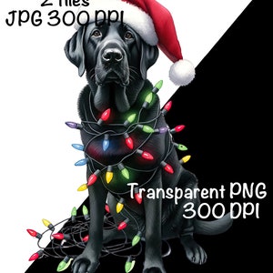 Christmas Labrador PNG Christmas Lights Santa Black Labrador ...