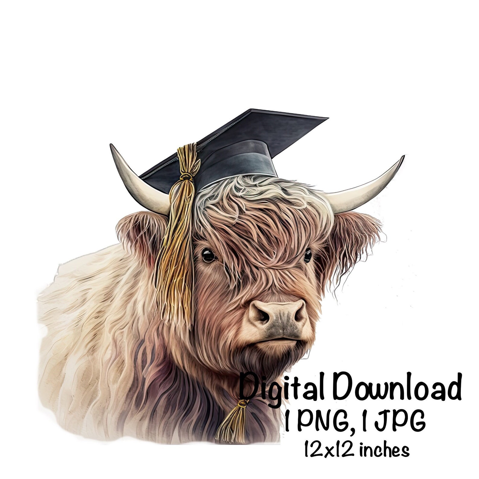 Highland Cow Watercolor Clipart Highland Cow Graduation Cap - Etsy