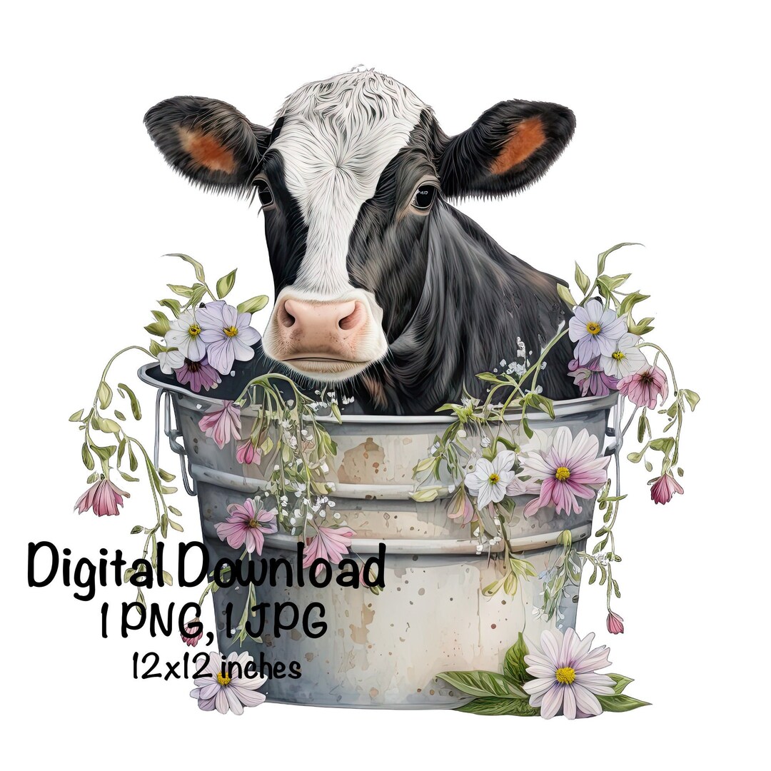 Dairy Cow Watercolor Clipart Cute Milk Cow in a Bucket Tub Baby Cow PNG ...