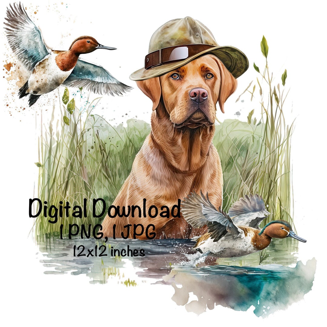 Duck Hunting Dog Watercolor Clipart British Red Labrador Cute Dog PNG ...