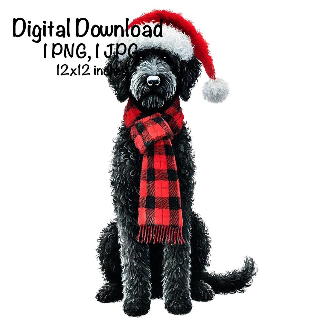 Christmas Goldendoodle Puppy PNG Christmas Scarf Santa Black Doodle Dog ...