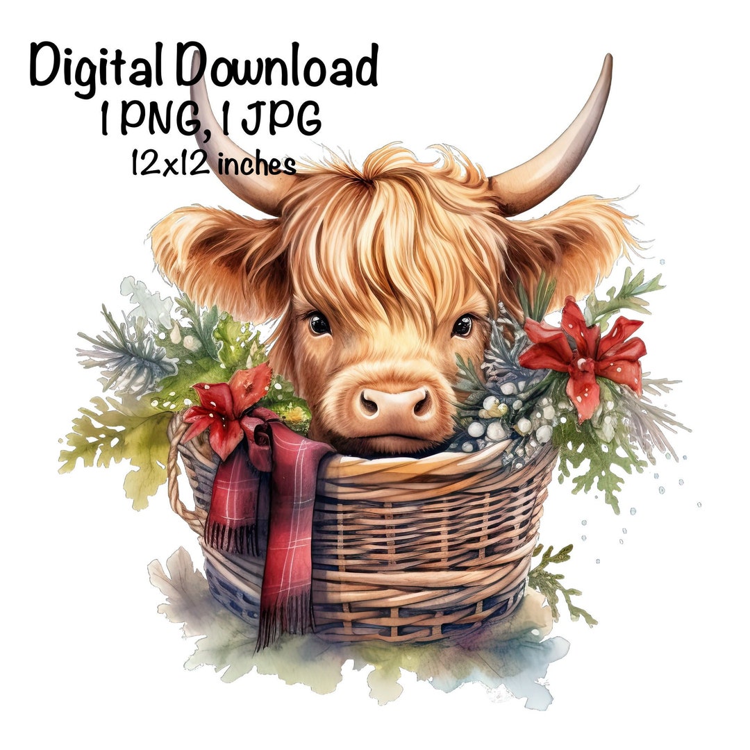 Highland Cow Watercolor Clipart Highland Cow Christmas Flowers Holiday ...